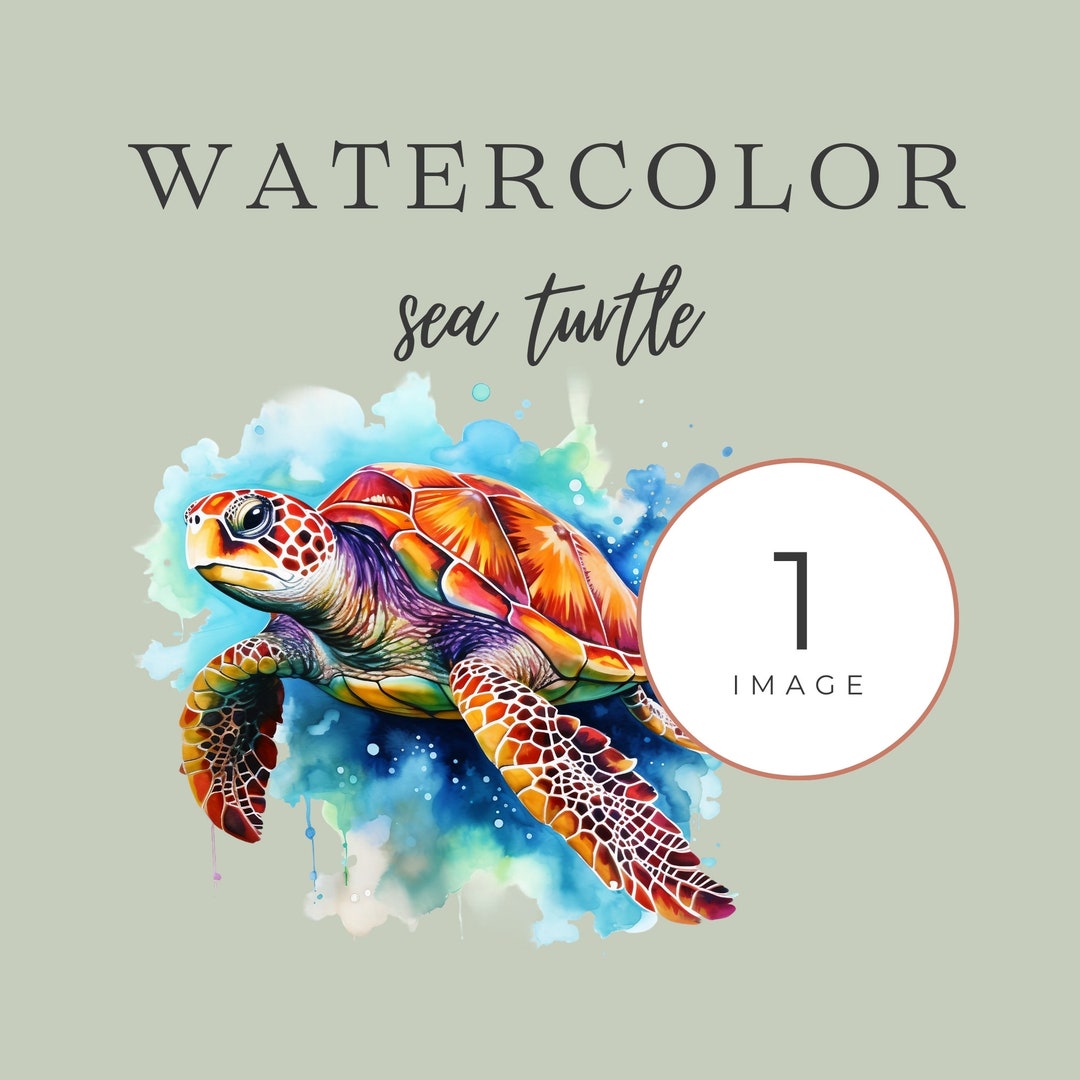 Watercolor Sea Turtle Clipart, Watercolor Clipart, Commercial Use ...