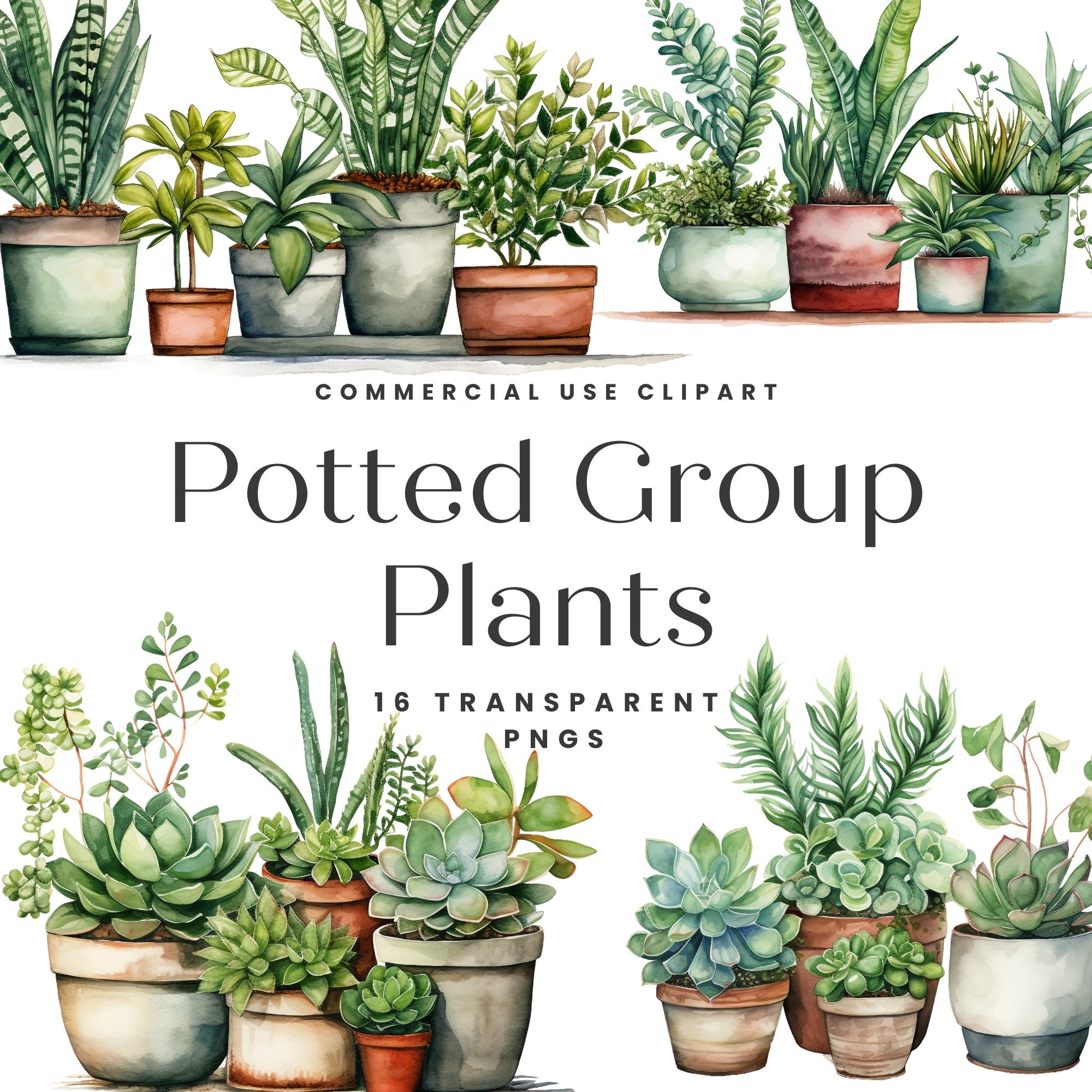 Potted Plants Clipart, Grouped Plants, Plant Clipart, Watercolor Plant ...