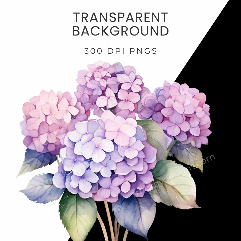 Purple Hydrangea Clipart, Watercolor Clipart, Invitation Clipart ...