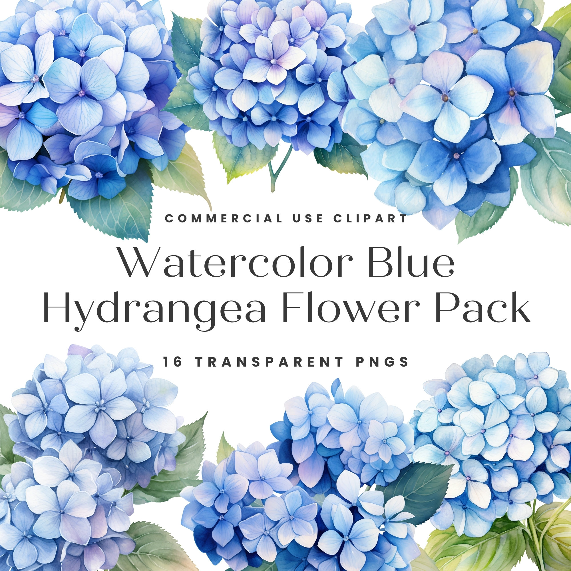 Blue Hydrangea Clipart, Watercolor Clipart, Invitation Clipart, Floral ...