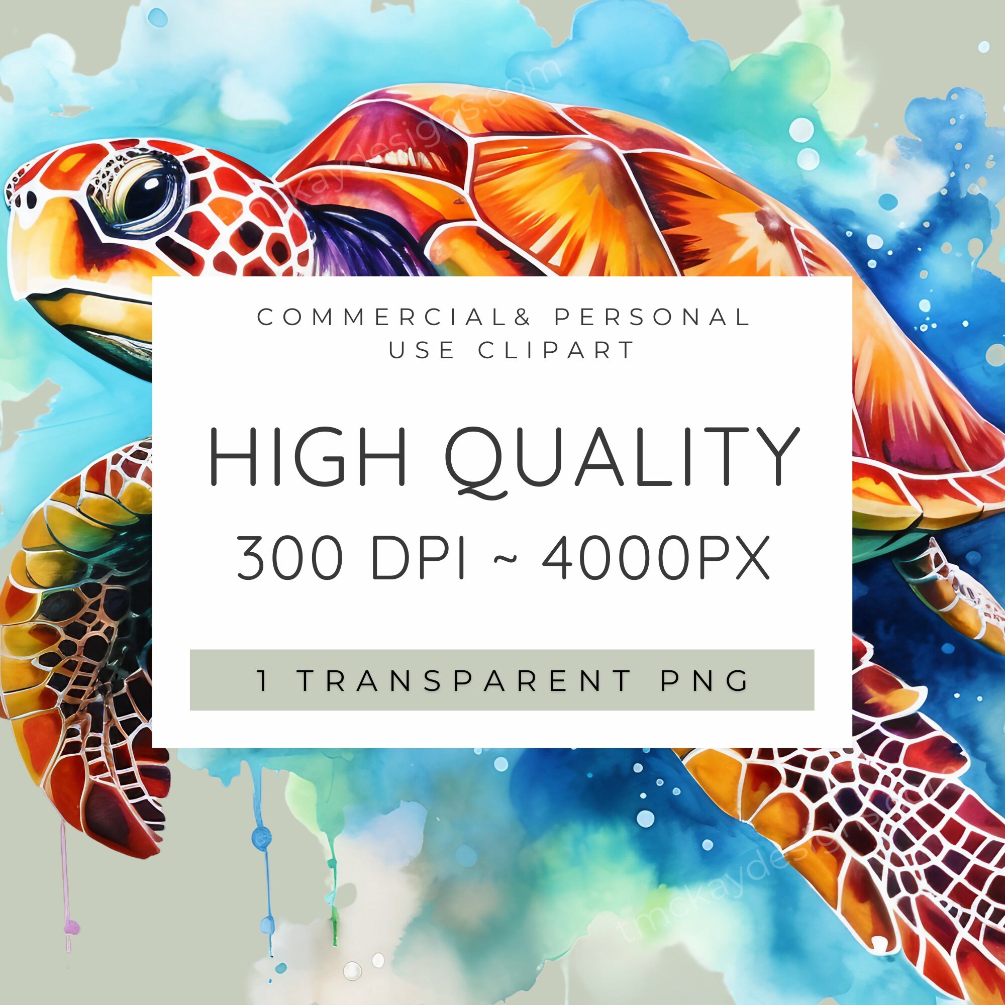 Watercolor Sea Turtle Clipart, Watercolor Clipart, Commercial Use ...