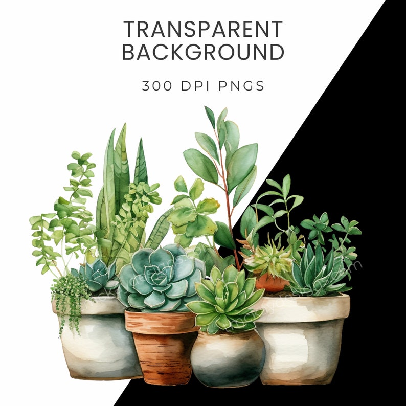 Potted Plants Clipart, Grouped Plants, Plant Clipart, Watercolor Plant ...