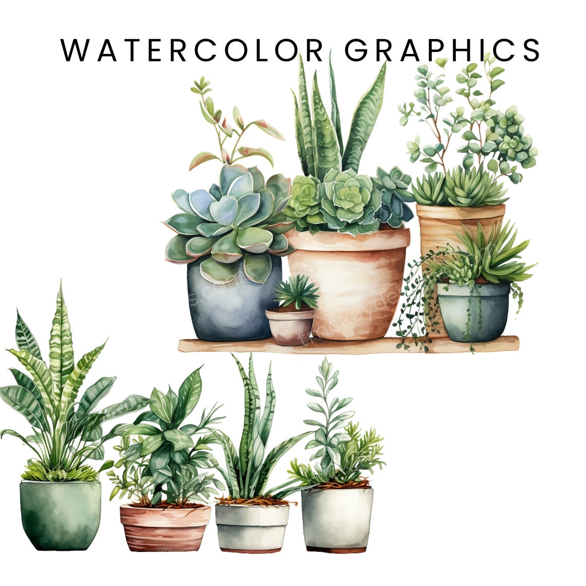 Potted Plants Clipart, Grouped Plants, Plant Clipart, Watercolor Plant ...