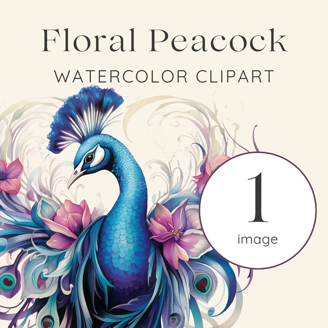 Peacock Clipart, Watercolor Peacock Clipart, Peacock PNG, Floral ...