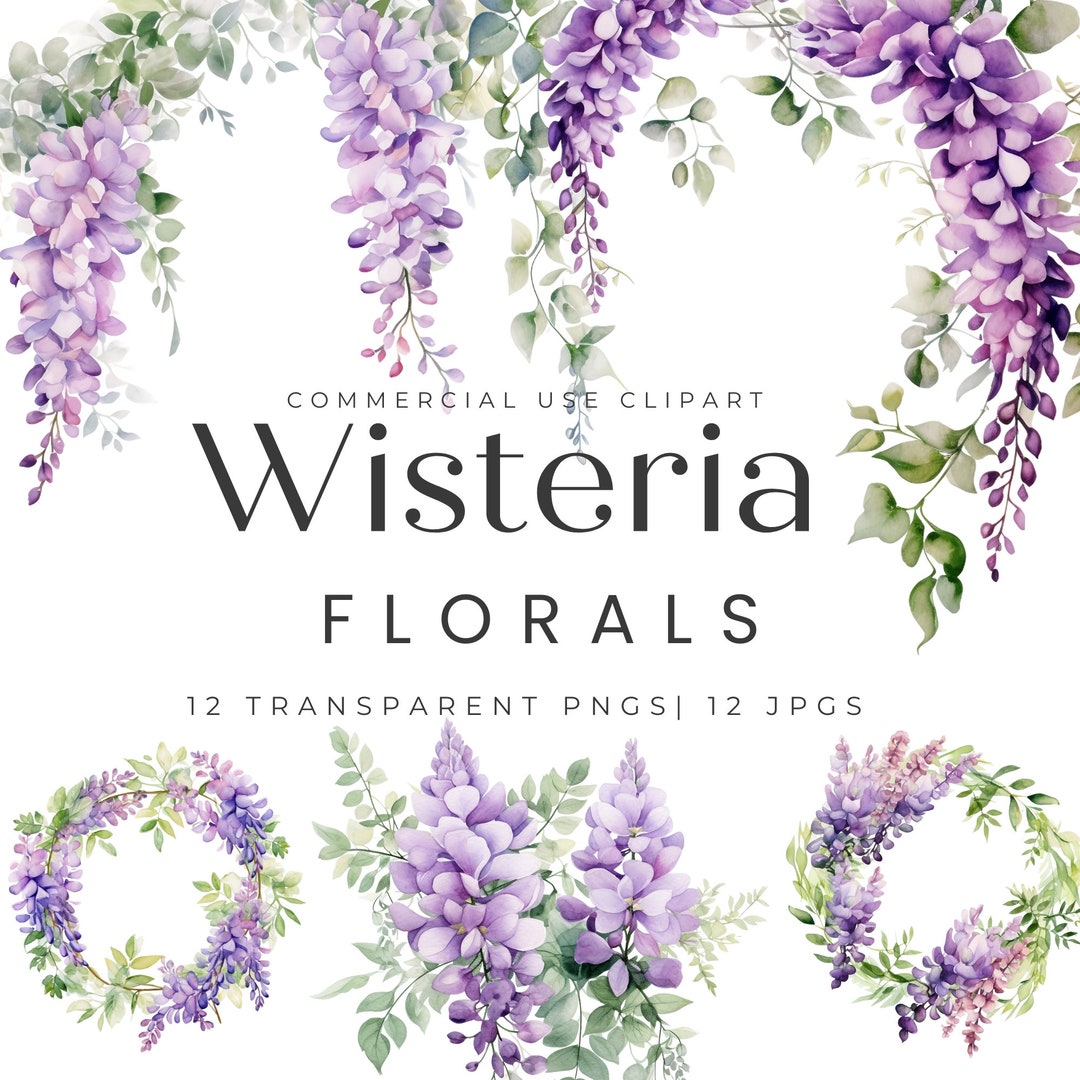 Purple Wisteria Flowers, Watercolor Wisteria Clipart, Invitation ...