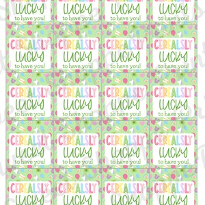 2"/2.5" Square & 2x3" Rect ST Patrick's Day Cerealsly Lucky Tag ...