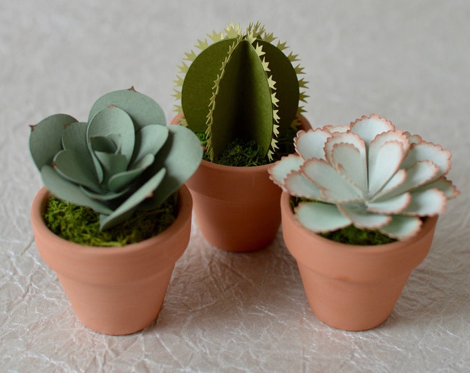 Set of 3 Mini Paper Succulents in Terracotta Pots - Paper Succulents ...