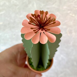 DIY Paper Cactus Kit, in Bloom - Etsy