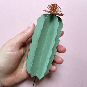 DIY Paper Cactus Kit, in Bloom - Etsy