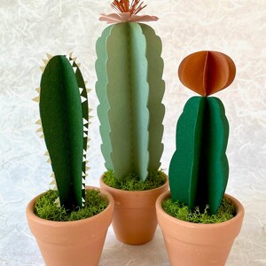 DIY Paper Cactus Kit, in Bloom - Etsy