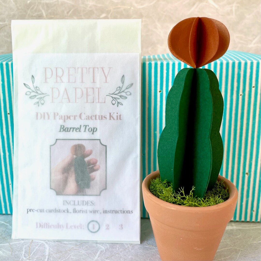 DIY Paper Cactus Kit, Barrel Top - Etsy