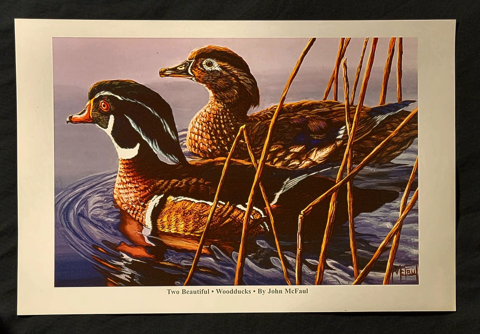 Duck Art, Sporting Art, Wood Ducks, Signed Print, Open-edition ...