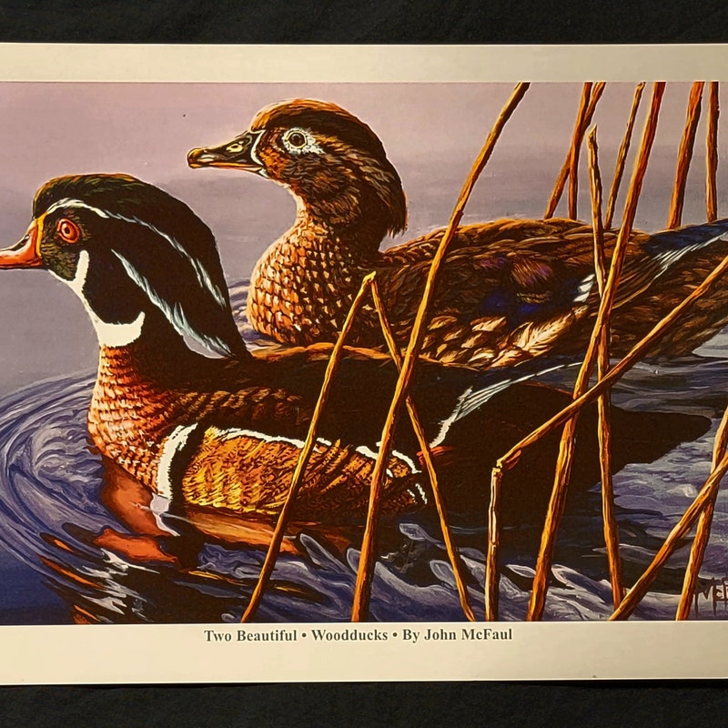 Waterfowl Decor - Etsy