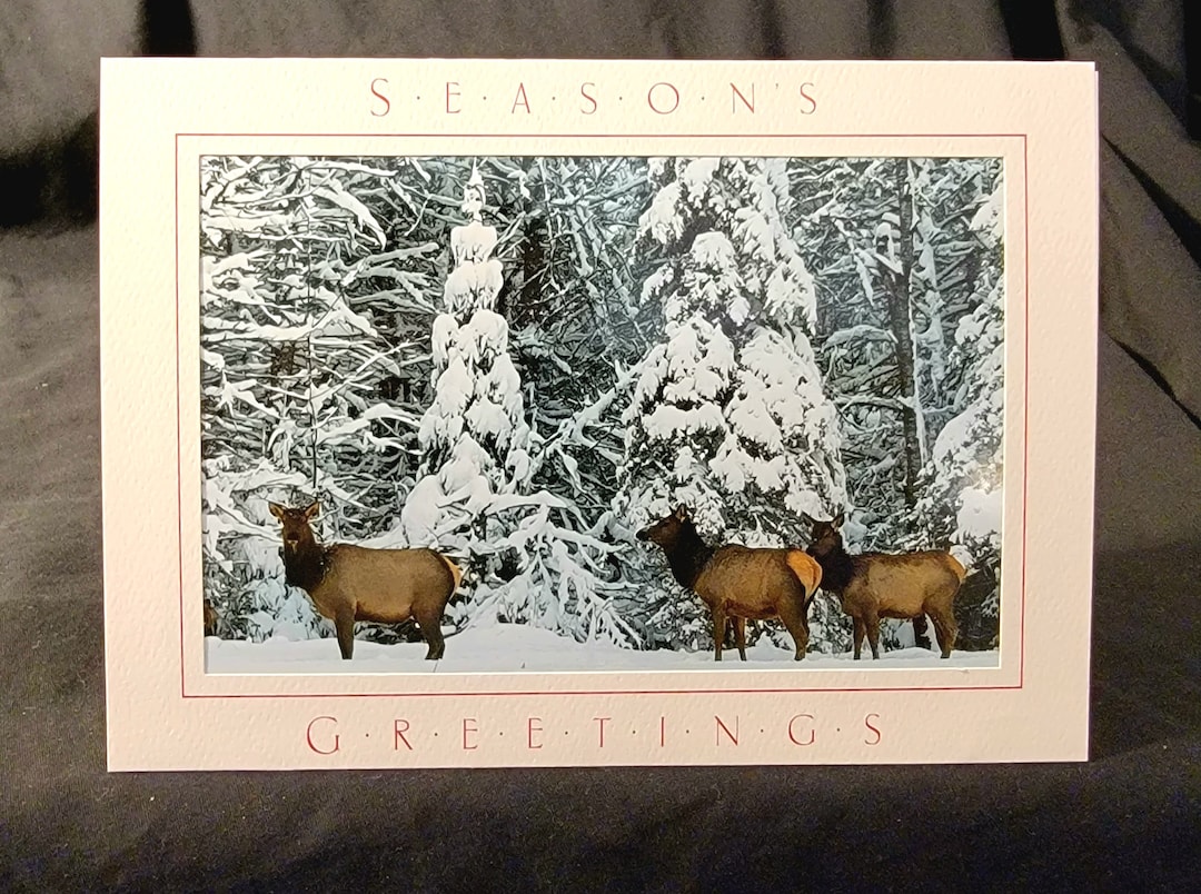 Six Assorted Christmas Cards, Holiday Greetings With Wildlife, Seasons ...