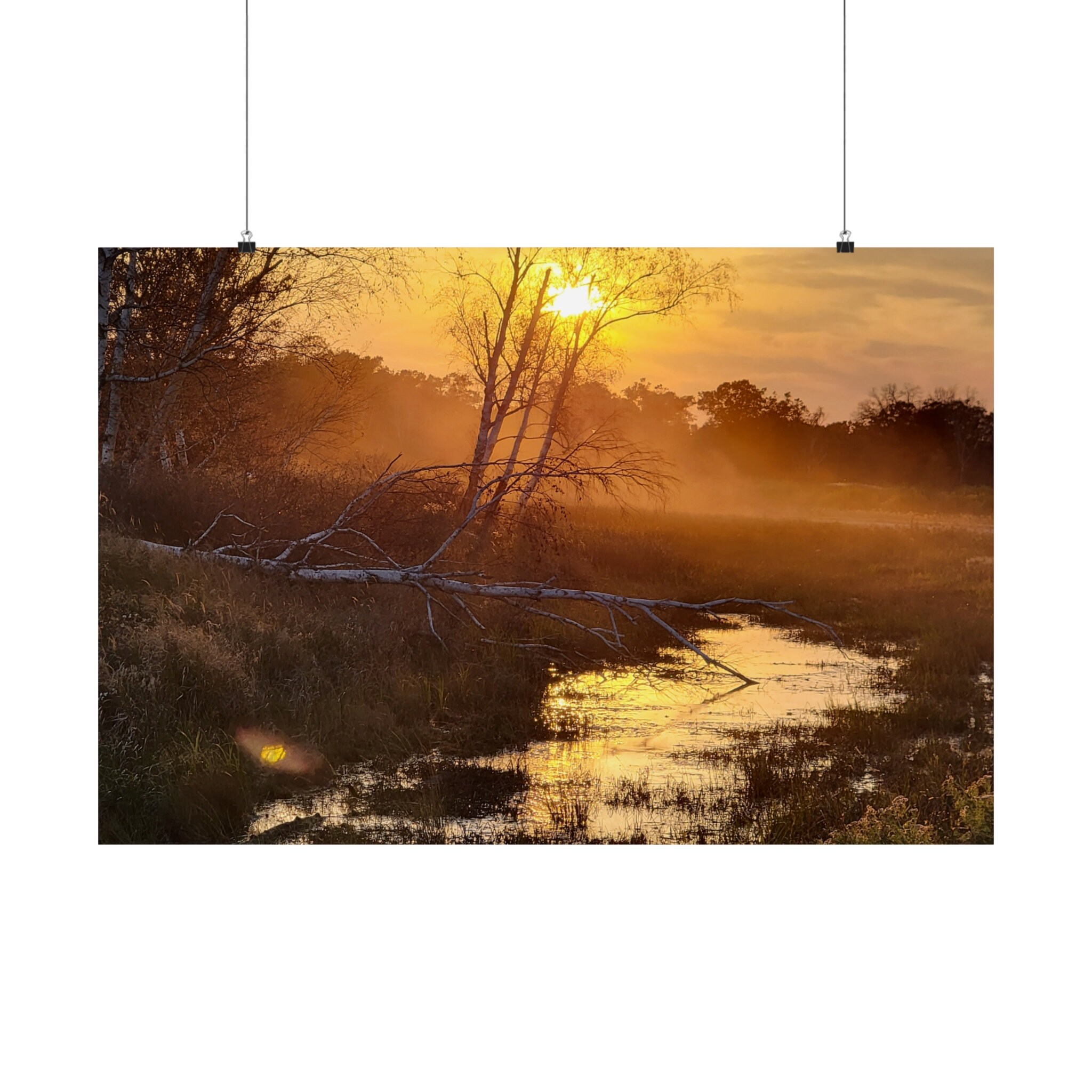 Wetland Evening, Sunset, Matte Horizontal Posters, Northwoods Wetland ...