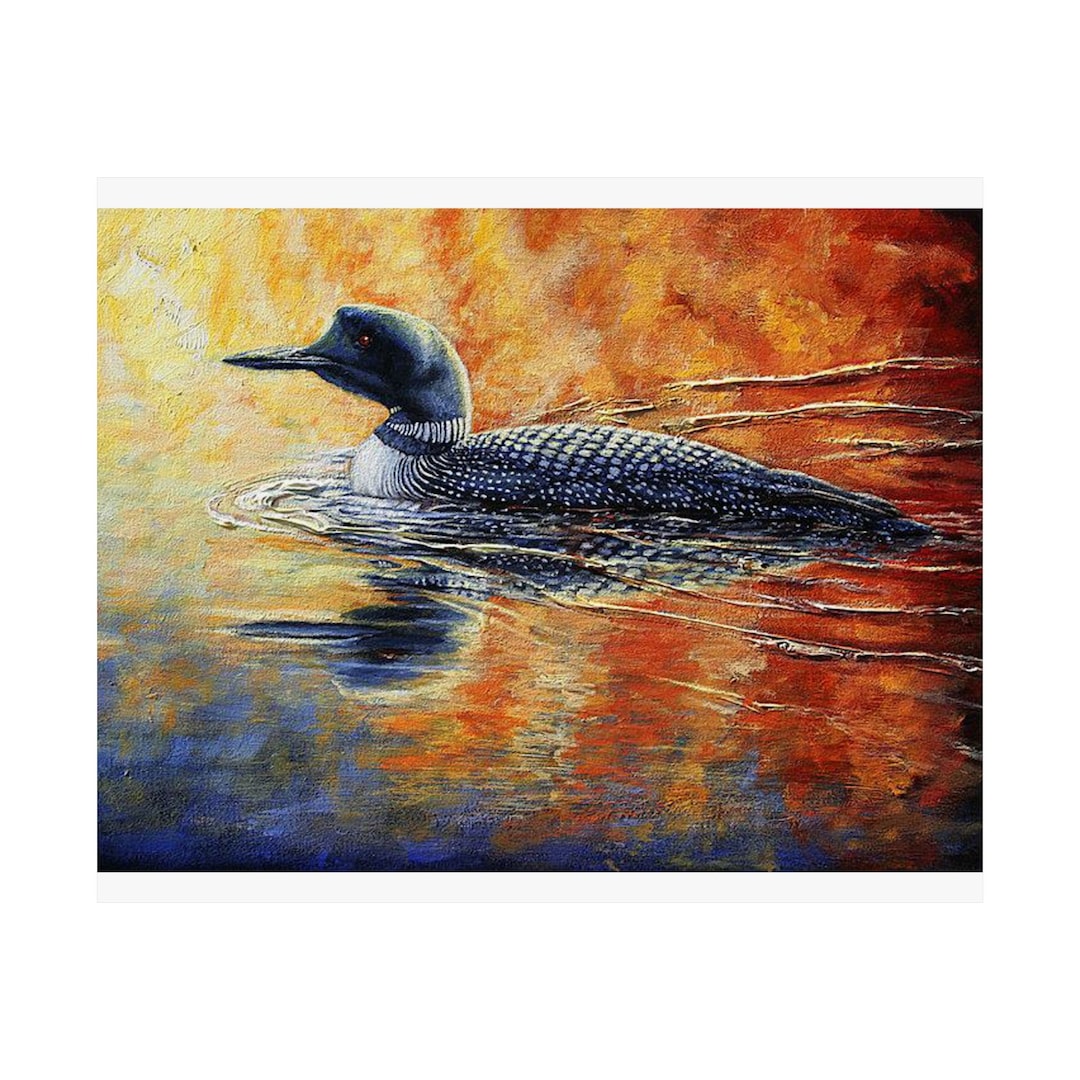 Loon, Contemporary Loon, Bold Colors, Boundary Waters, Minnesota ...