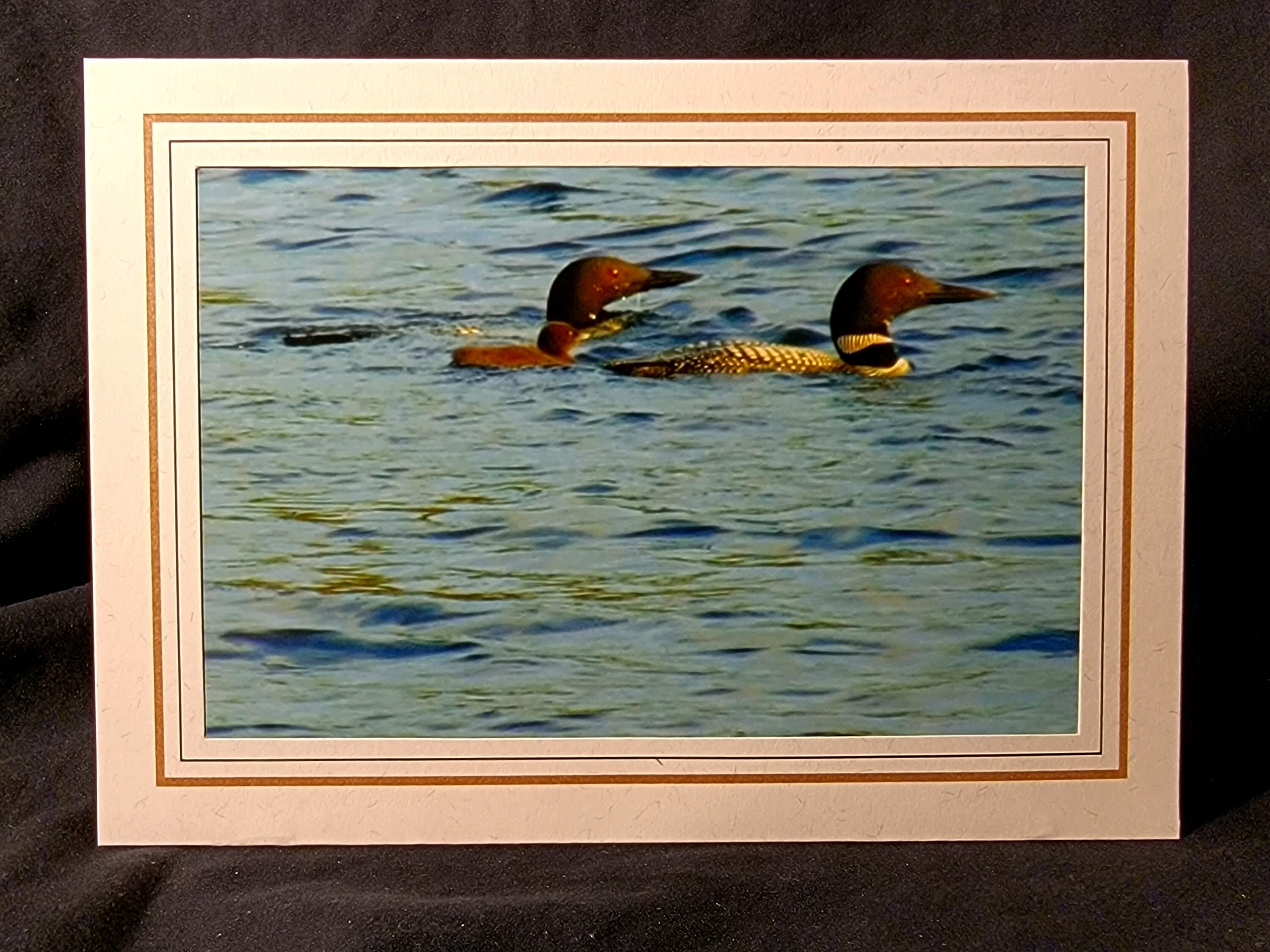 Loon Greeting Cards Set of Ten Different Images Wildlife - Etsy