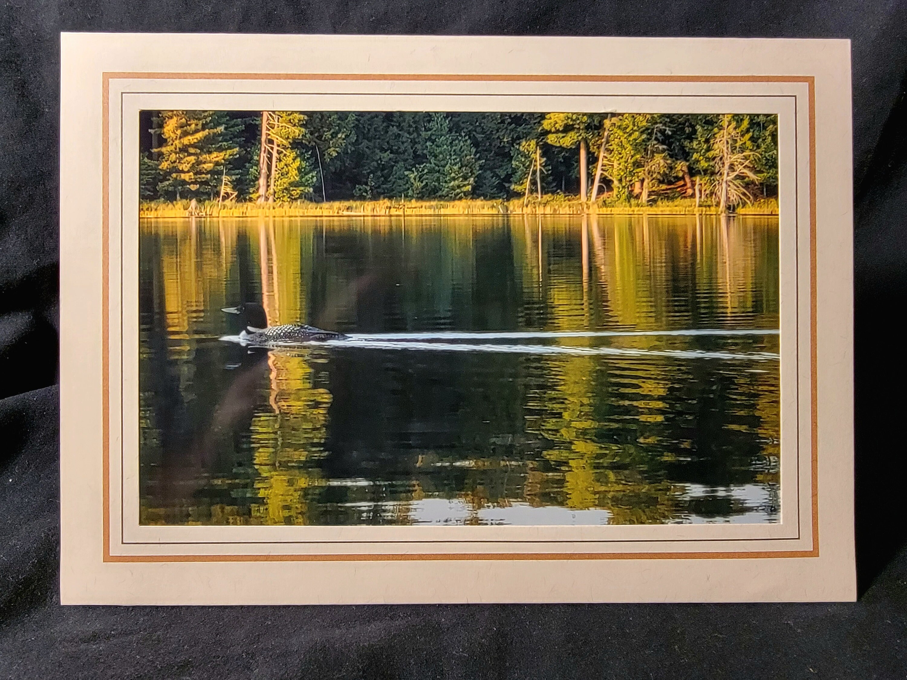 Loon Greeting Cards Set of Ten Different Images Wildlife - Etsy