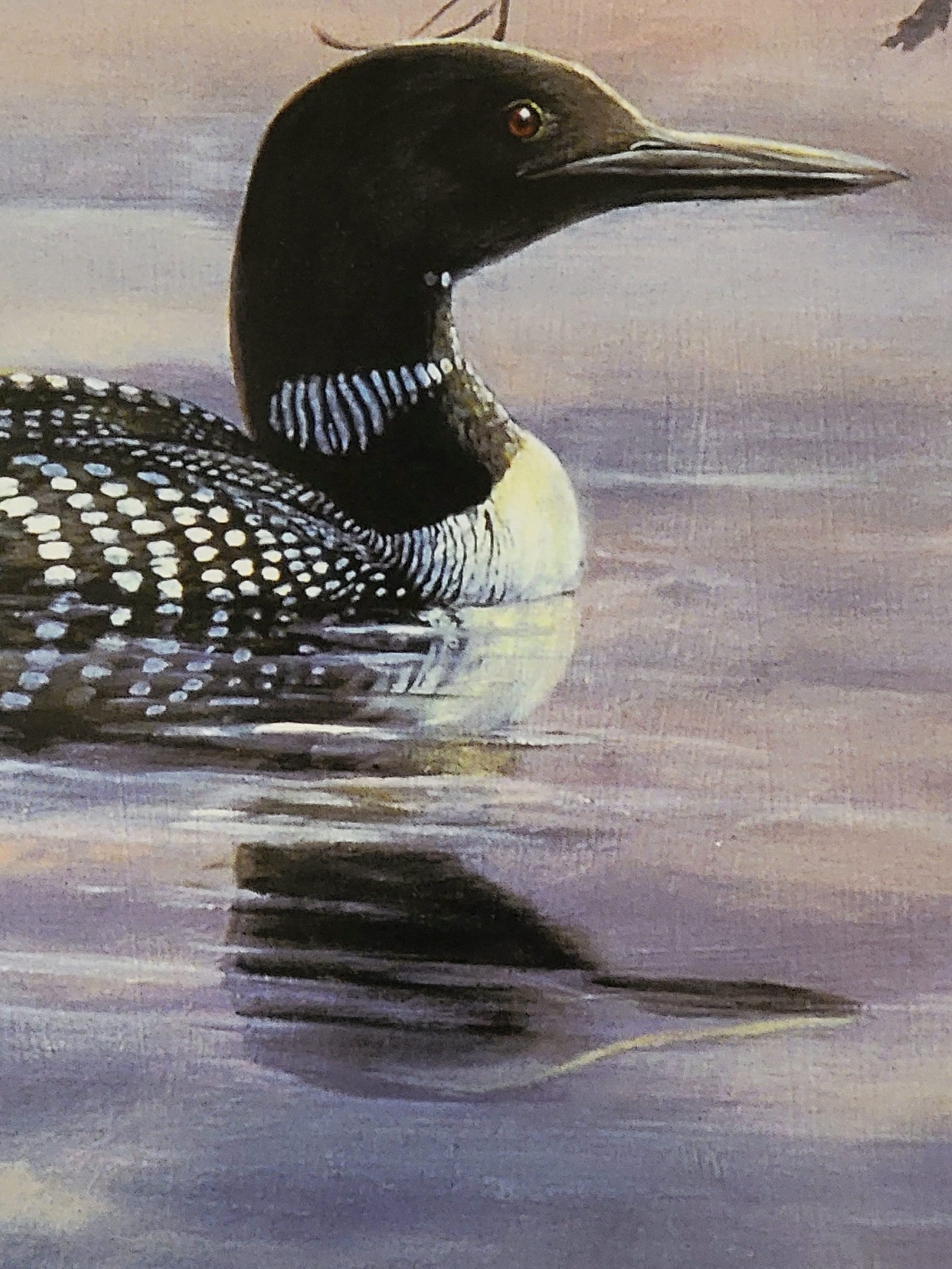 Loon Art, Signed Print, Open-edition, Boundary Waters, Wildlife Art ...