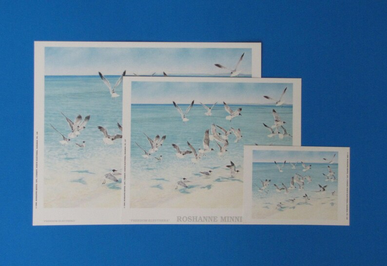 Freedom Eleuthera Bahamian Art Print by Roshanne - Etsy