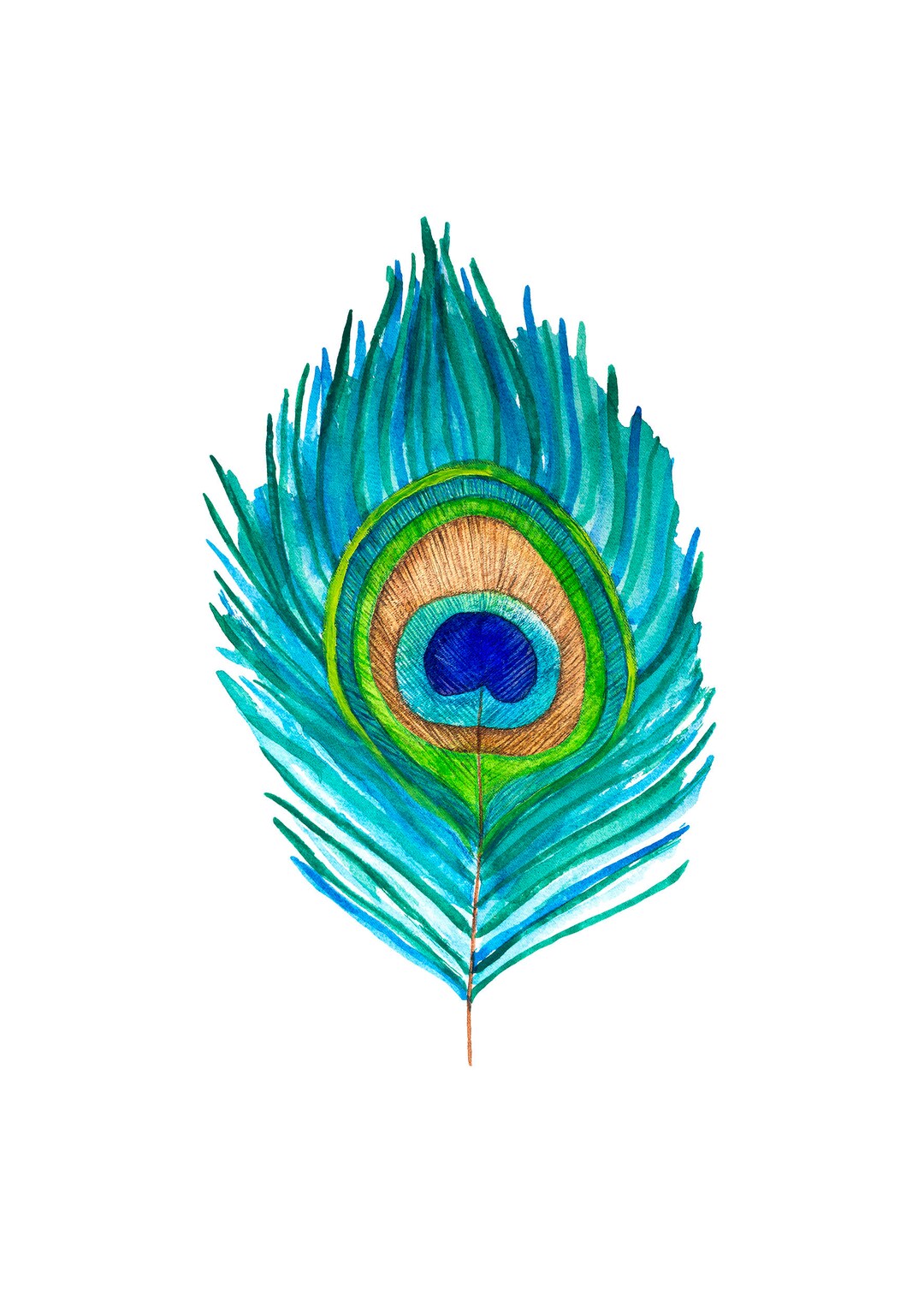 Feather Sticker, Peacock Feather Decal - Etsy