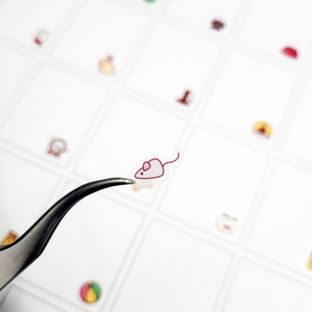 C177 Couse Stickers / HACSTER Stickers / Pet Stickers / Clear Planner ...