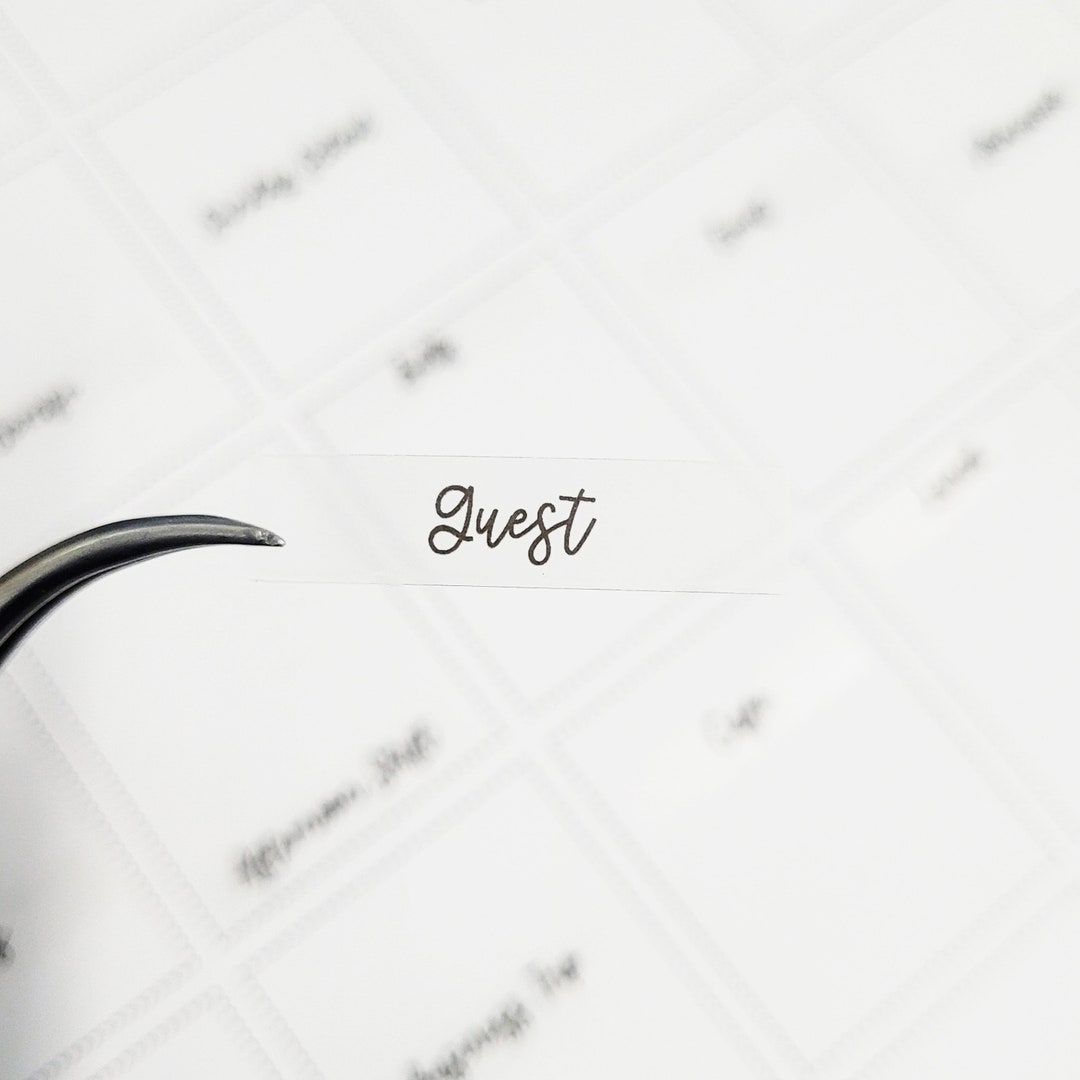 TCC168 35pcs Clear Guest Stickers / Cursive Letter Stickers / School ...