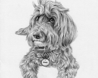 Dog pencil drawing | Etsy