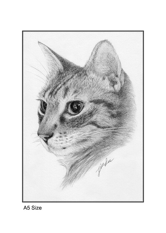 Realistic Cat Drawing In Pencil