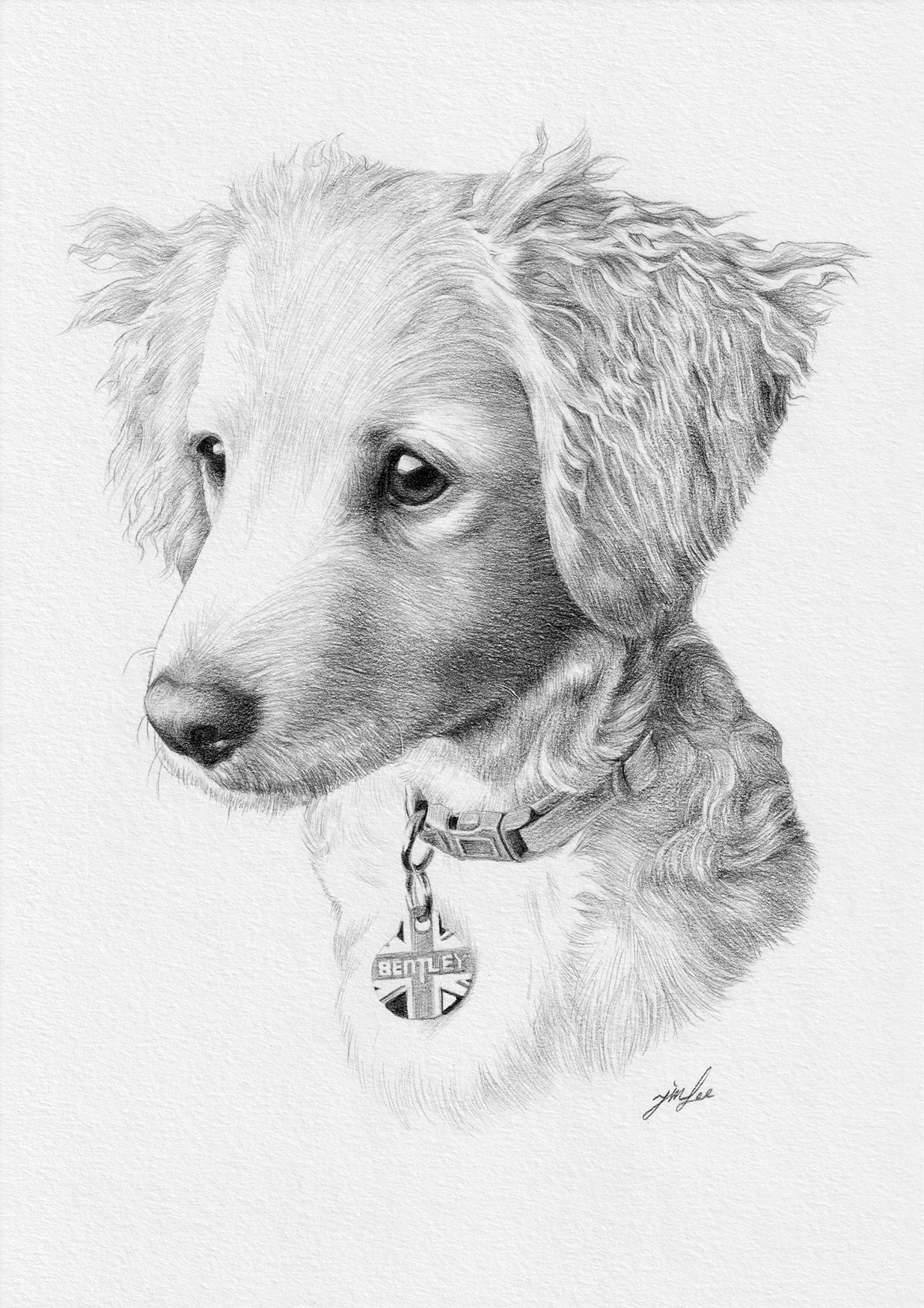 Pet Portraits Urns & Memorials Pet Supplies pencil drawing,pet drawing ...