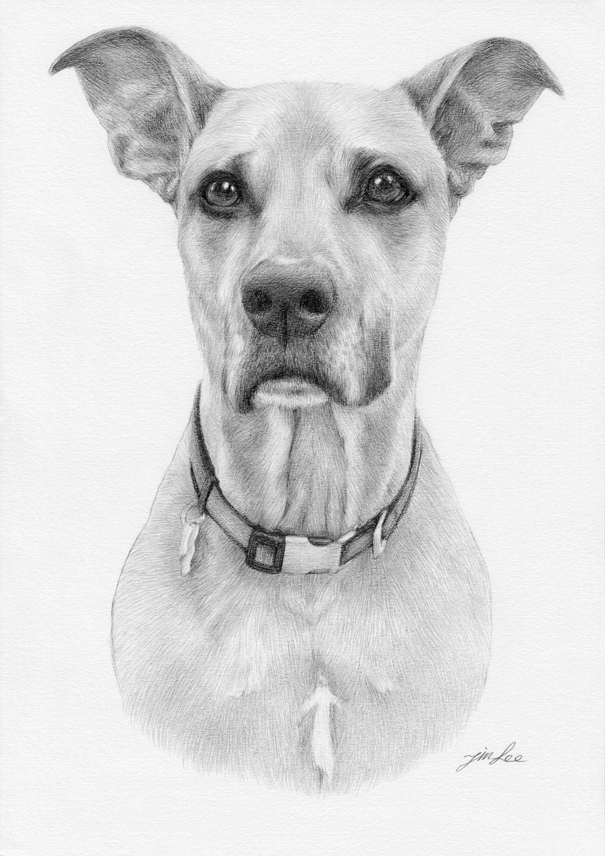 Pet Supplies Urns & Memorials Custom portrait pencil drawing,pet ...