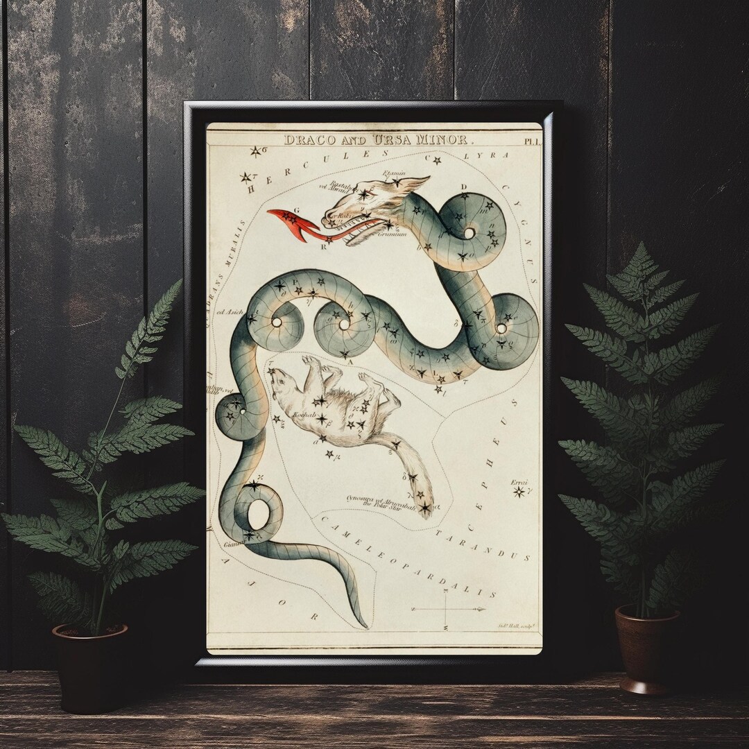 Draco Star Constellation | Astrology | Digital Download | Astrology ...