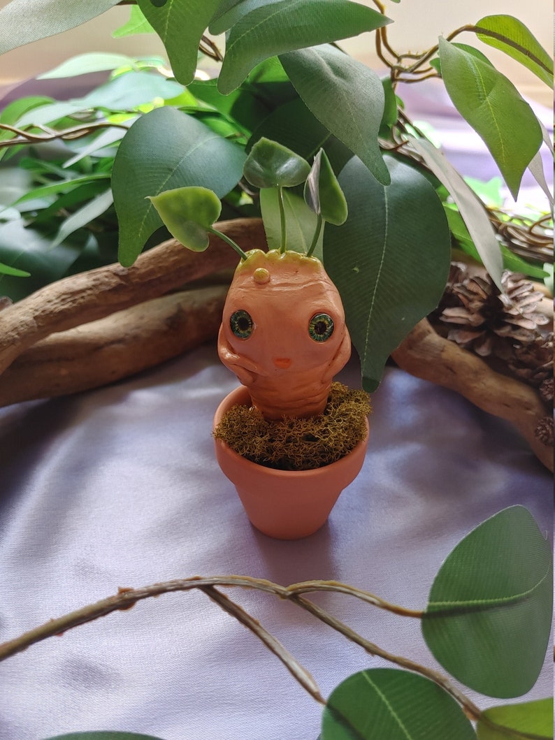 Root Babies Doll and Free Postcard of Baby Mandrake Root - Etsy