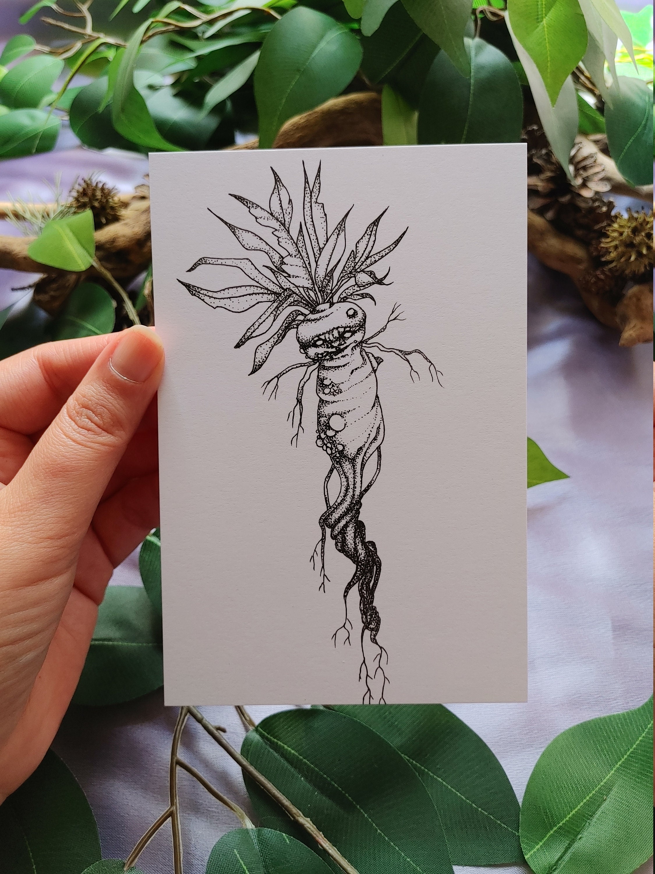 Root Babies Doll and Free Postcard of Baby Mandrake Root - Etsy