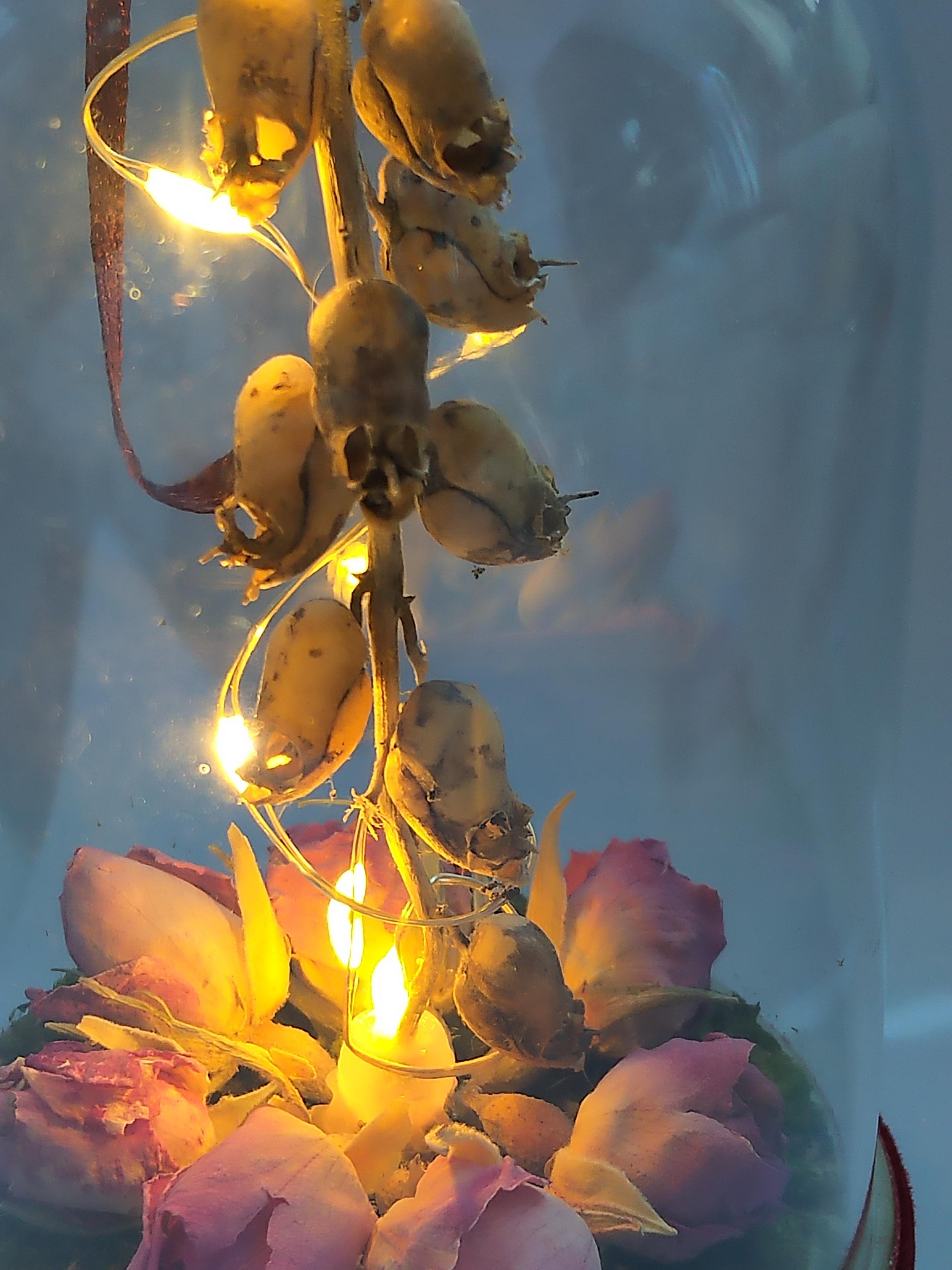 Light up Dome Skulls N Roses - Etsy