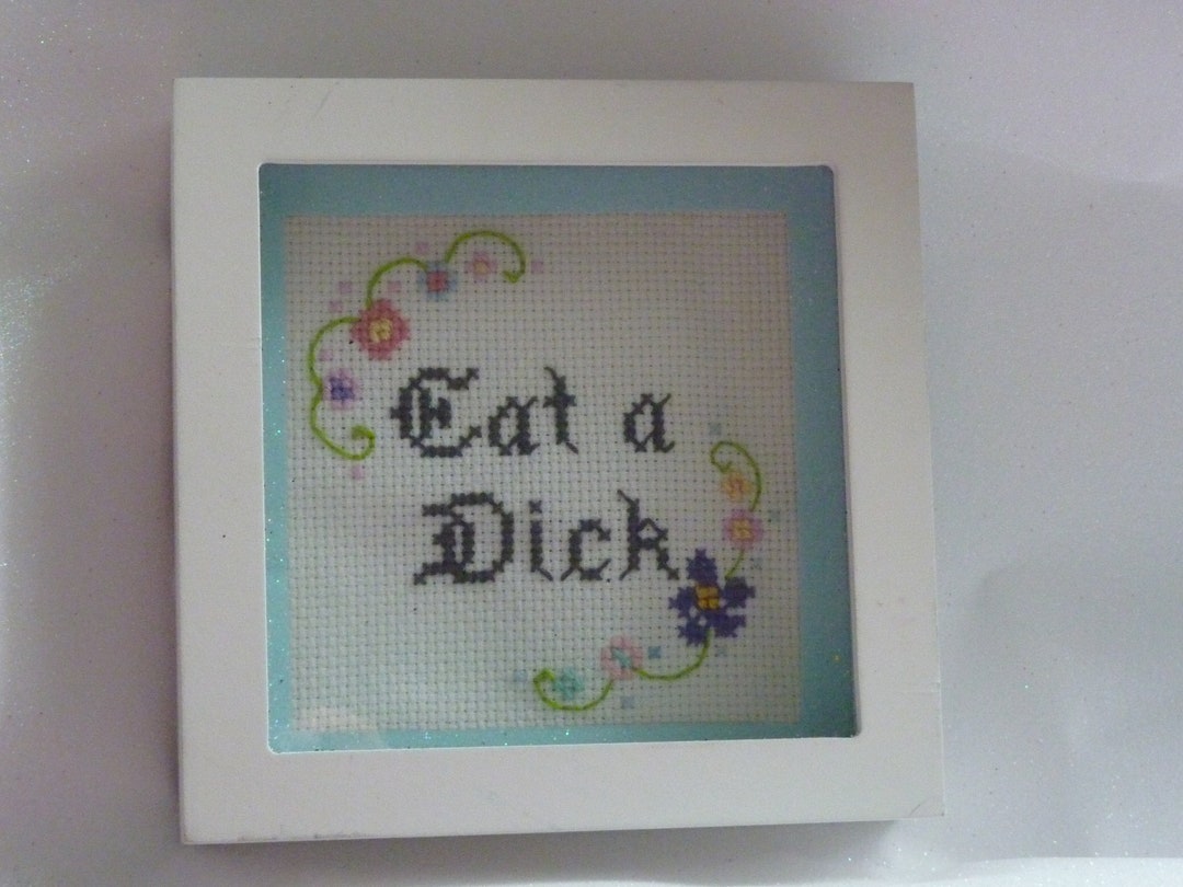 Offensive Cross Stitch Framed Picture. Eat A DCK - Etsy