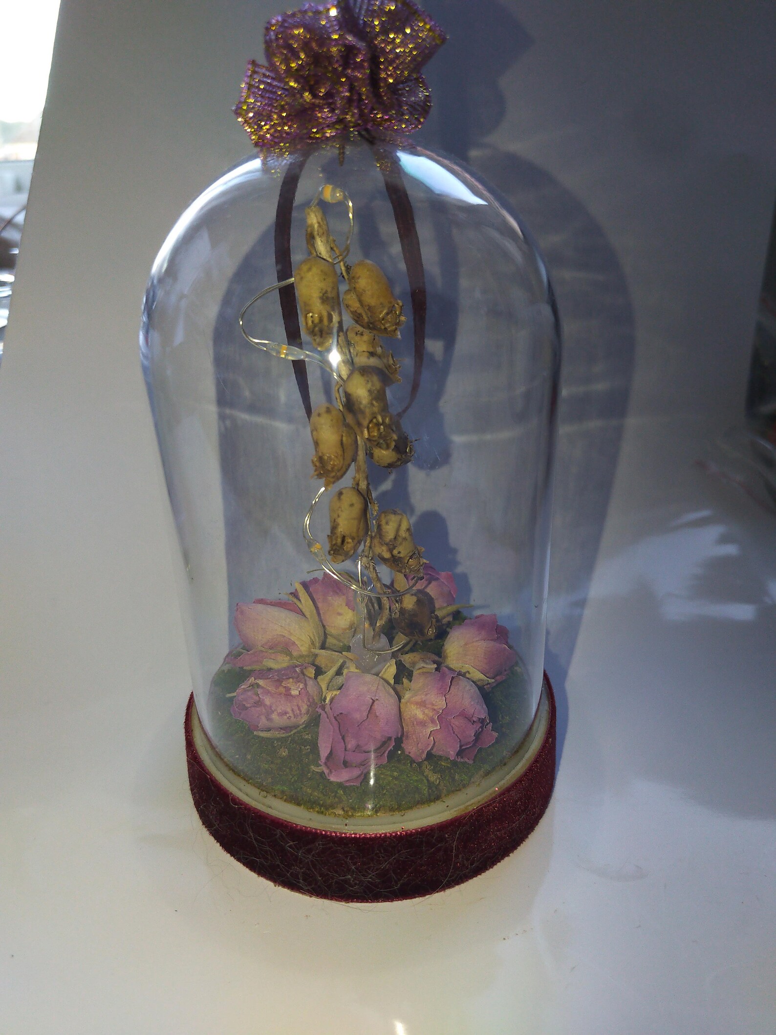 Light up Dome Skulls N Roses - Etsy