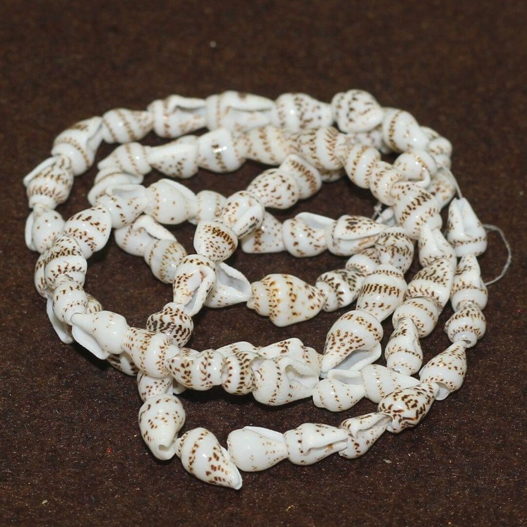 Natural 8-10mm Drilled One Hole Sea Shell Beads White 78 Pcs - Etsy