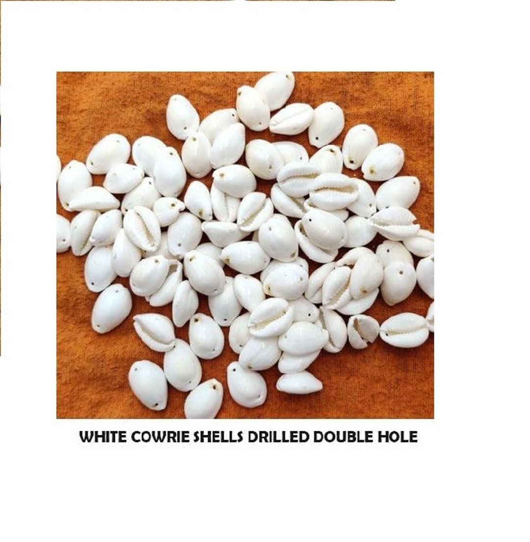 White Cowrie Shells Drilled Double Hole Sold by 50 Pieces Pack. - Etsy