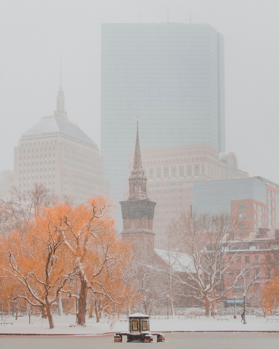 Boston Public Garden in the Snow - Cityscape and Skyline - Artwork ...