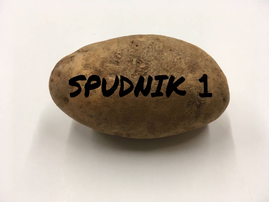 Sputnik, Funny Gag Gifts, Geek Gifts for Him, Funny White Elephant ...