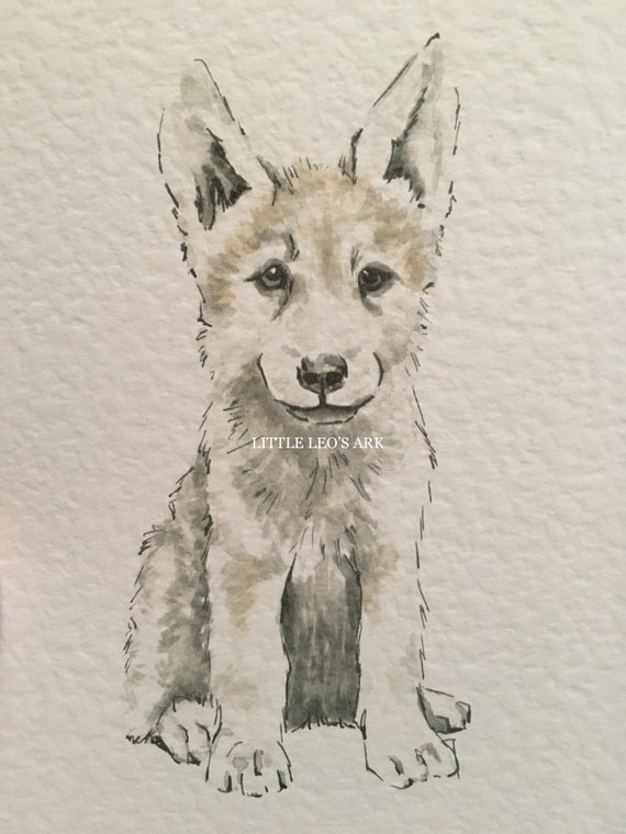 Cute Wolf Pup Drawings