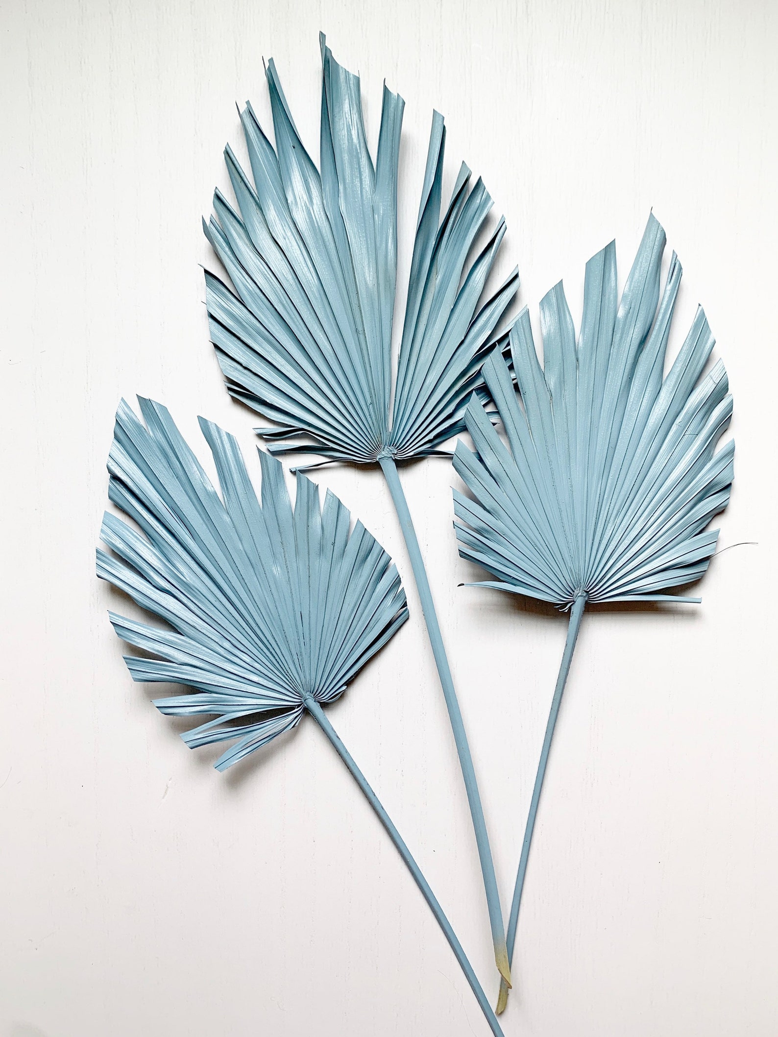Dusty Blue Cut and Painted Dried Palm Leaves - Etsy
