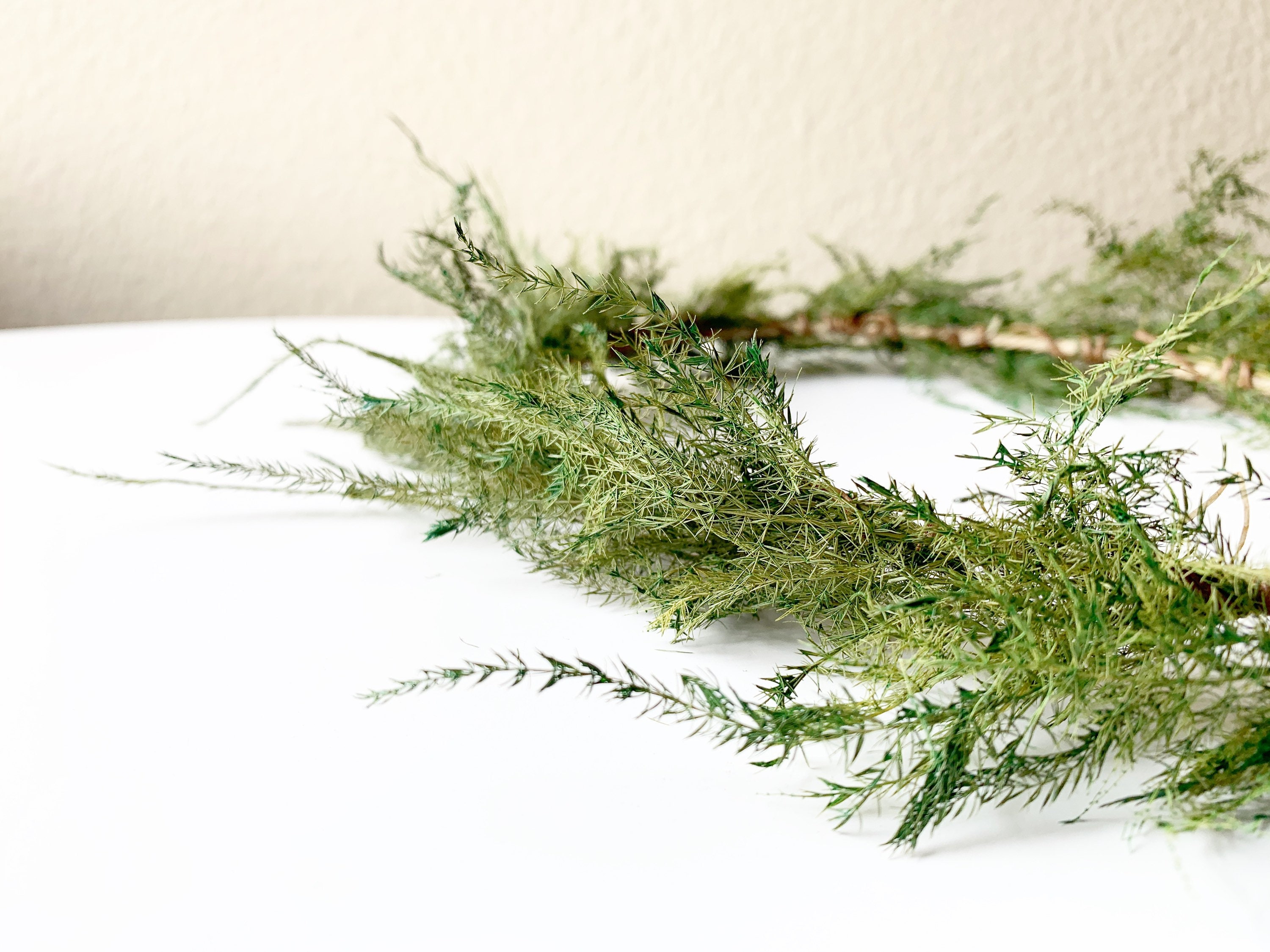 Plumosa Fern Crown - Etsy