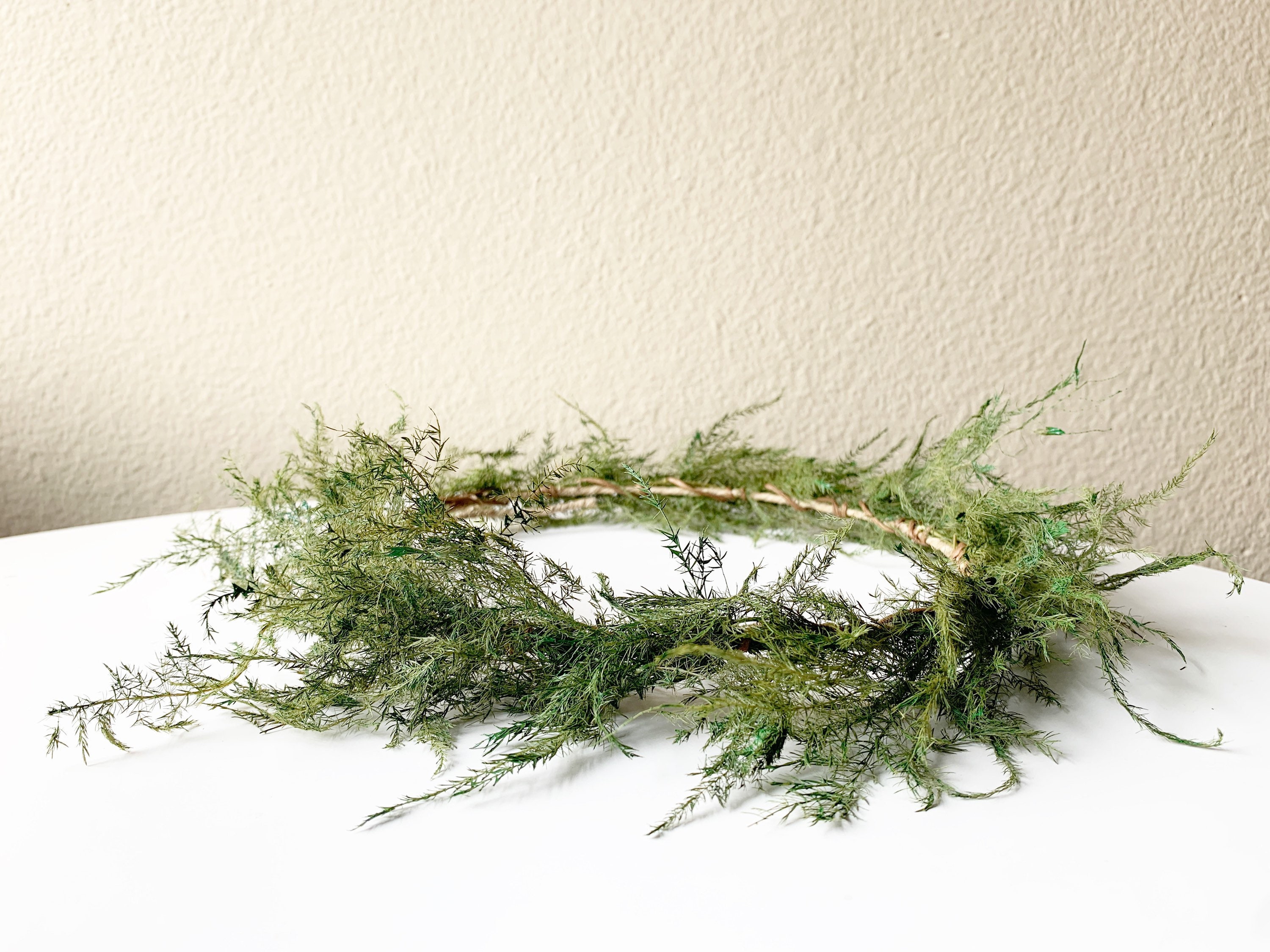Plumosa Fern Crown - Etsy
