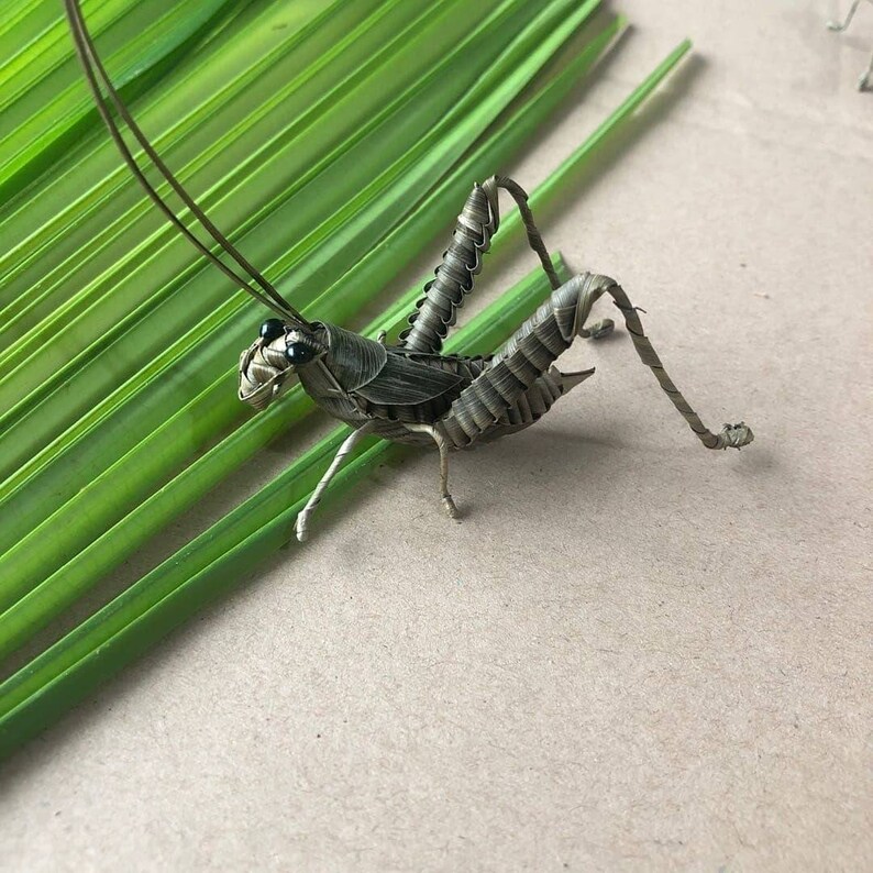 Handmade Palm Weaving Insectsmacrame Insects Macrame Wall - Etsy