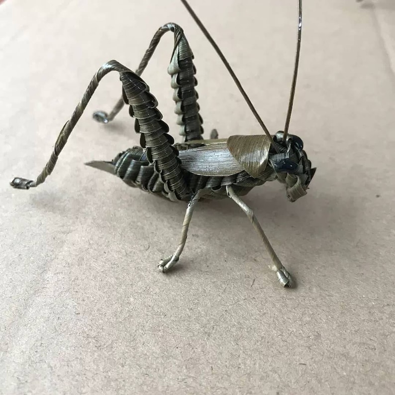 Handmade Palm Weaving Insectsmacrame Insects Macrame Wall - Etsy