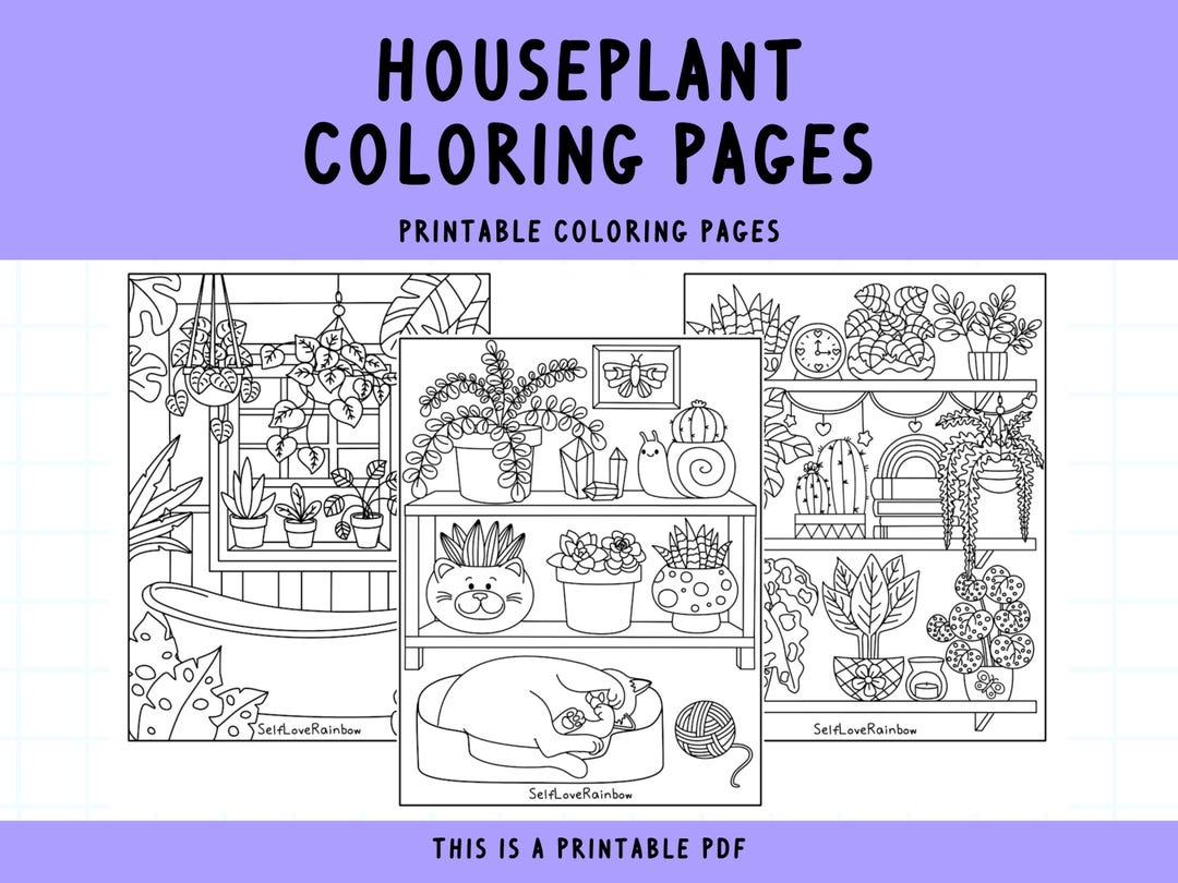 House Plant Coloring Pages | Succulents | Printable | Hand Drawn L ...