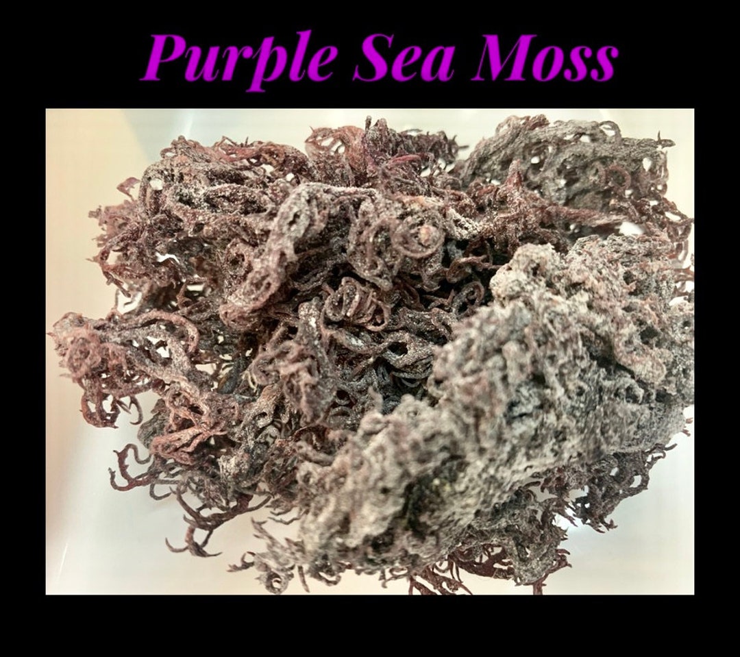 St Lucia Purple Sea Moss - Etsy