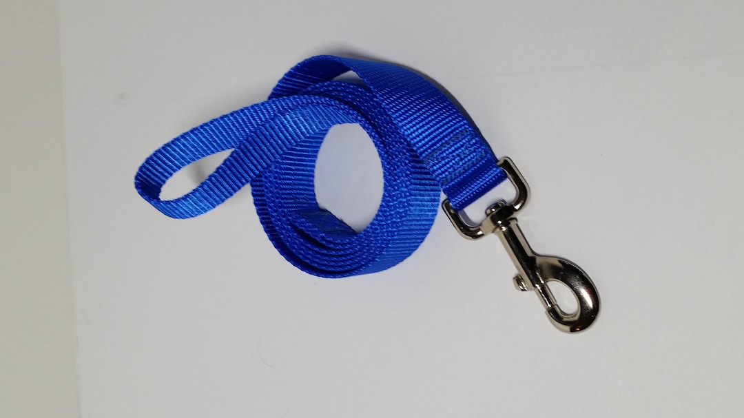 Nylon Dog Leash, 1 Inch Wide Dog Leash, Royal Blue Dog Leash, Available ...